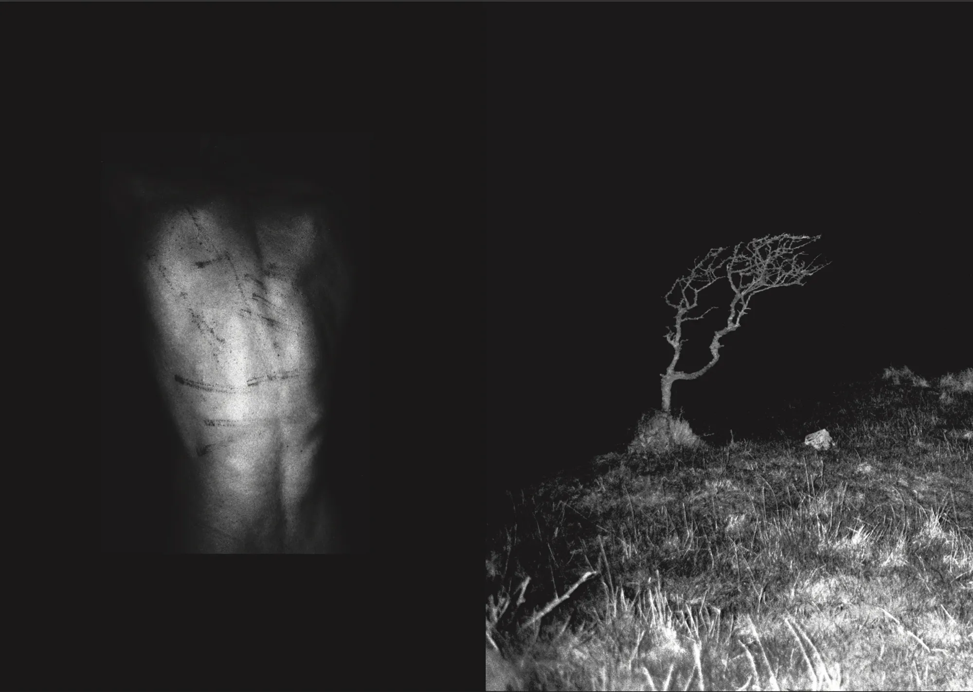 Thomas Vandenberghe - Intimate Structures